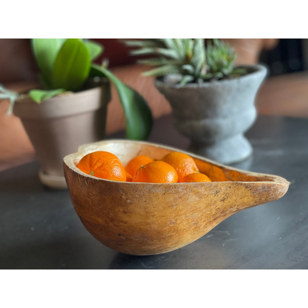 Vintage Gourd Water Ladle, Dia 9.5-12 in, China, On Sale 50% Off ...