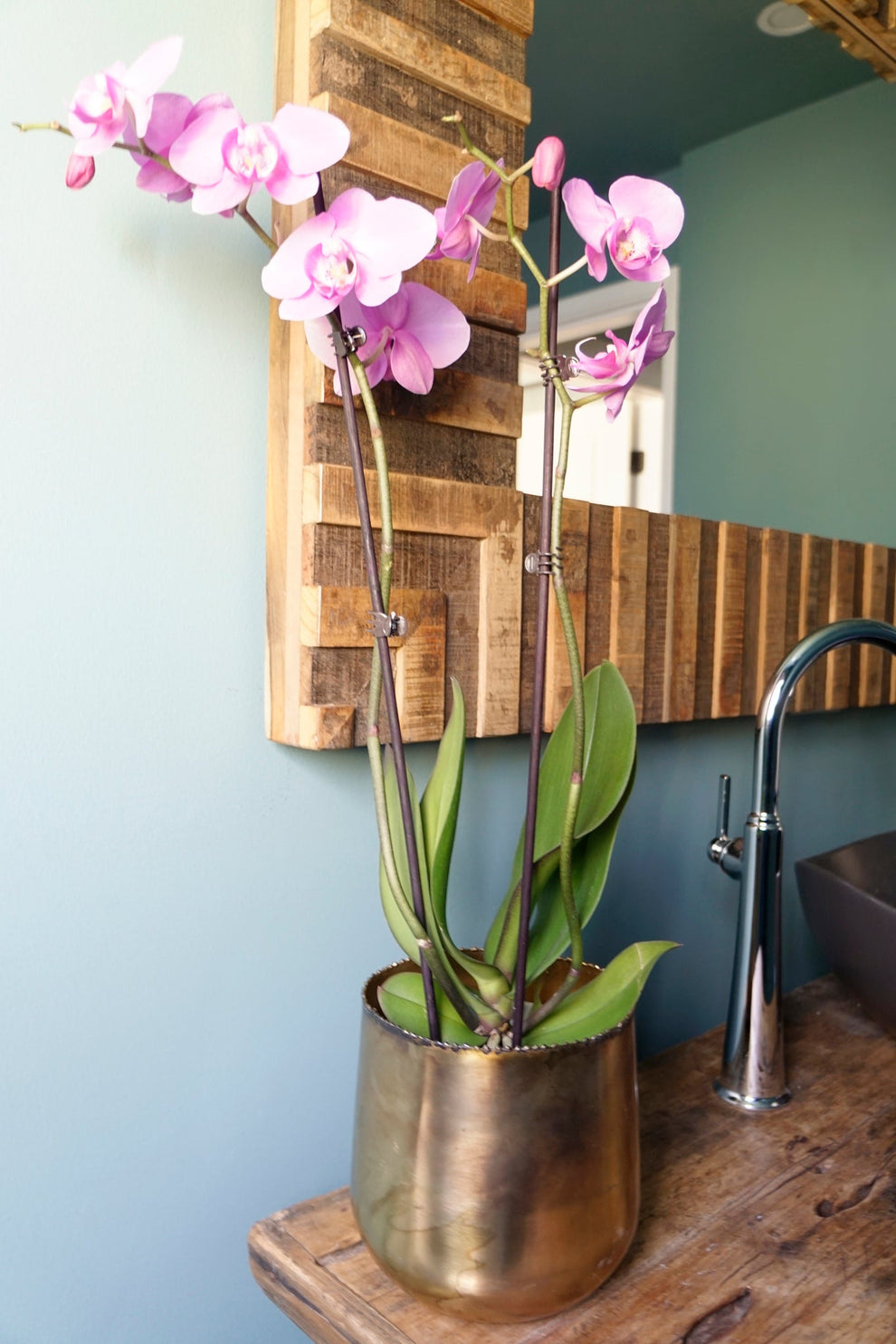 Hendrix Planter Set, Burn Brass Metal, L: 6.3 X 6.3 X5.9 In; S:5.1 X 5. ...