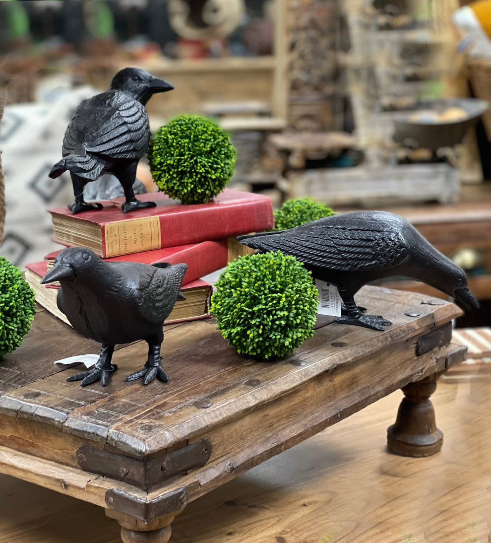 Cast Iron Crow, Head To Side, Black – North American Country Home